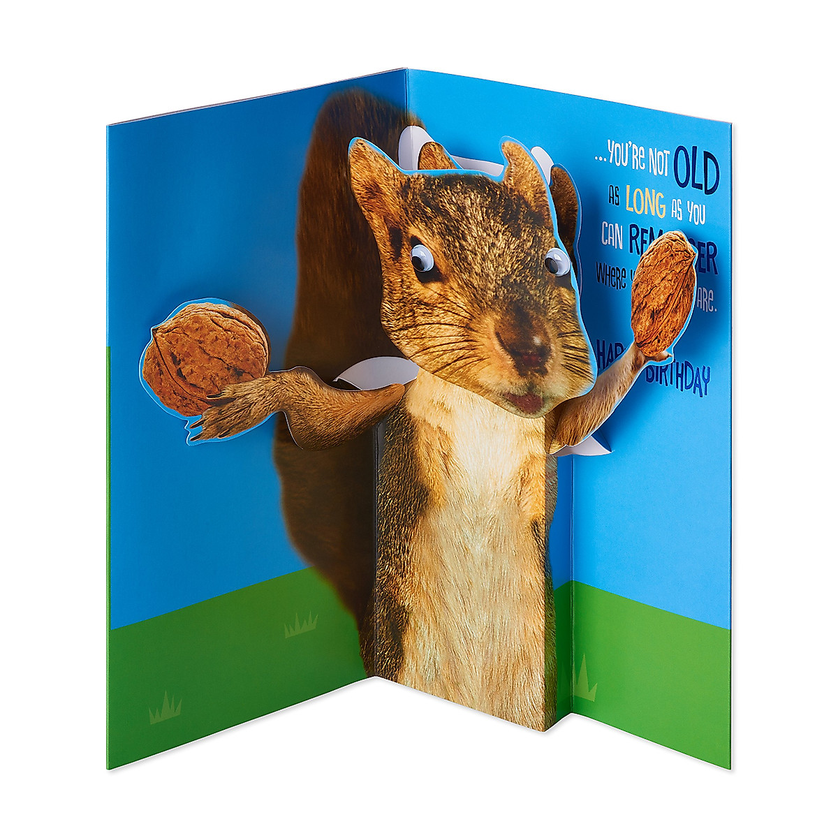 American Greetings Funny Birthday Card (Squirrel)