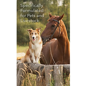 VetriCleanse Pet Itch Relief & Wound Care Spray with Hypochlorous Acid - Skin + Coat Care - Dog & Cat Deodorizer, Eye Cleaner & Ear Cleaner for All Animals - 225ml