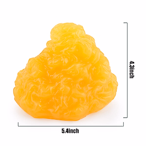 SimCoach Fat Replica 1 lb & Muscle Replica 1lb with Display Base, Great Motivator and Reminder for Fitness, Demonstration Model for Nutritionist, Anatomical Model for Medical Students