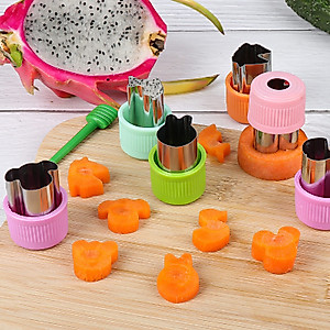 Mini Cookie Cutters Set, Small Fruit Vegetable Cutters Shapes, Animal Shape Food Cutters for Kids Lunch Bento Box Accessories