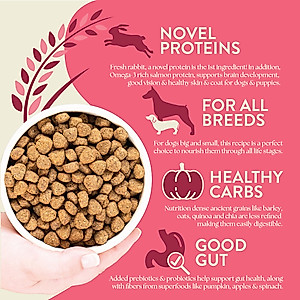 Earthborn Holistic Unrefined Roasted Rabbit with Ancient Grains & Superfoods Dry Food for Dogs & Puppies (4 lb. Bag)