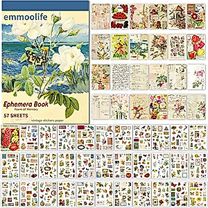 537pcs Vintage Washi Stickers and Papers for Scrapbooking, Ephemera Book for Journaling with Botanical Sticker and Scrapbook Decoupage Paper for Bullet Junk Journal, Scrapbooking Supplies for Adults