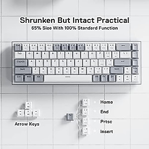 Redragon K631 Gery 65% Wired RGB Gaming Keyboard, 68 Keys Compact Mechanical Keyboard w/100% Hot-Swap Socket, Free-Mod Plate Mounted PCB & Dedicated Arrow Keys, Quiet Red Switch