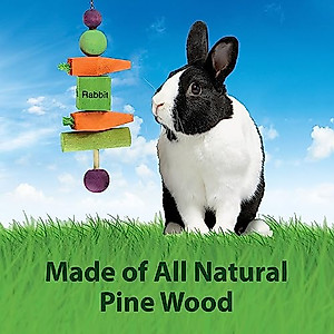 Kaytee Perfect Chews Hanging Wood Chew Toy for Pet Rabbits and Other Small Animals