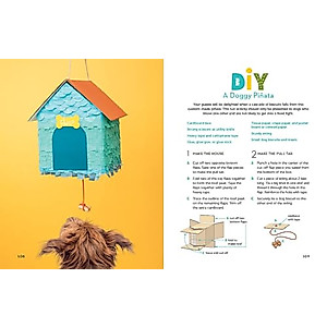 A Kid's Guide to Dogs: How to Train, Care for, and Play and Communicate with Your Amazing Pet!