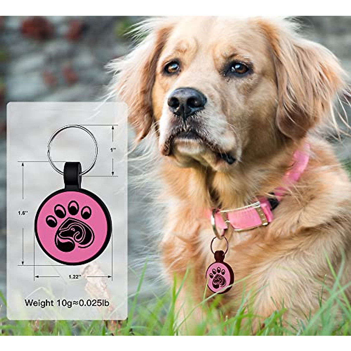 WhoseID QR Code Dog Tag, Pet ID Tag, Dog ID Tag, Waterproof Lightweight Silent Pet ID Tag, Modifiable Free Pet Online Profile, Multiple Contact Information, Scan QR Code Send Pet Location (Paw, Rose)