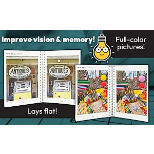 Picture Puzzles: Spot the Difference: More Than 1,000 Differences to Find! Adult Puzzle Book Includes Spiral Bound / Lay Flat Design (Brain Busters)