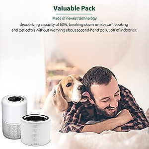 2 Pack Core 200S True HEPA Filter Replacement Compatible with LEVOIT Core 200S Air Purifier, 200S Premium Pet Air Filter Part, 200S Filters Replaces Purifier Filter for Smoke Pollen Dander Hair Smell