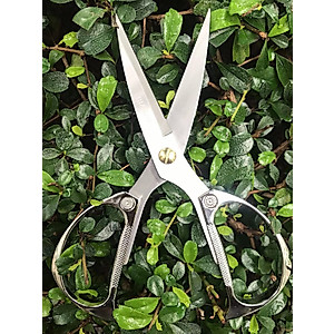 Horsvill Indoor Plant Shears Garden Scissors, Houseplant Shears Made of Japan SK5 Stainless Steel, Flowers Herbs and Plant Cutters, Clippers, Trimmers, Loppers, Bonsai Potted Plant Pruning Scissors