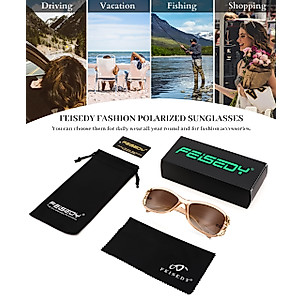 FEISEDY Trendy Polarized Y2K Sunglasses Wrap Around Butterfly Design Fashion Sunnies UV400 Protection B0078