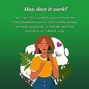 artnaturals Tea Tree Conditioner 12 Fl Oz / 355ml - Made w/ 100% Pure Natural Therapeutic Grade Tea Tree Essential Oil - For Dandruff, Sensitive, Itchy, Dry scalp - For Men & Women