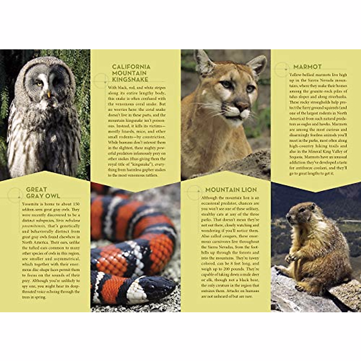 Compass American Guides: Yosemite and Sequoia/Kings Canyon National Parks (Full-color Travel Guide)