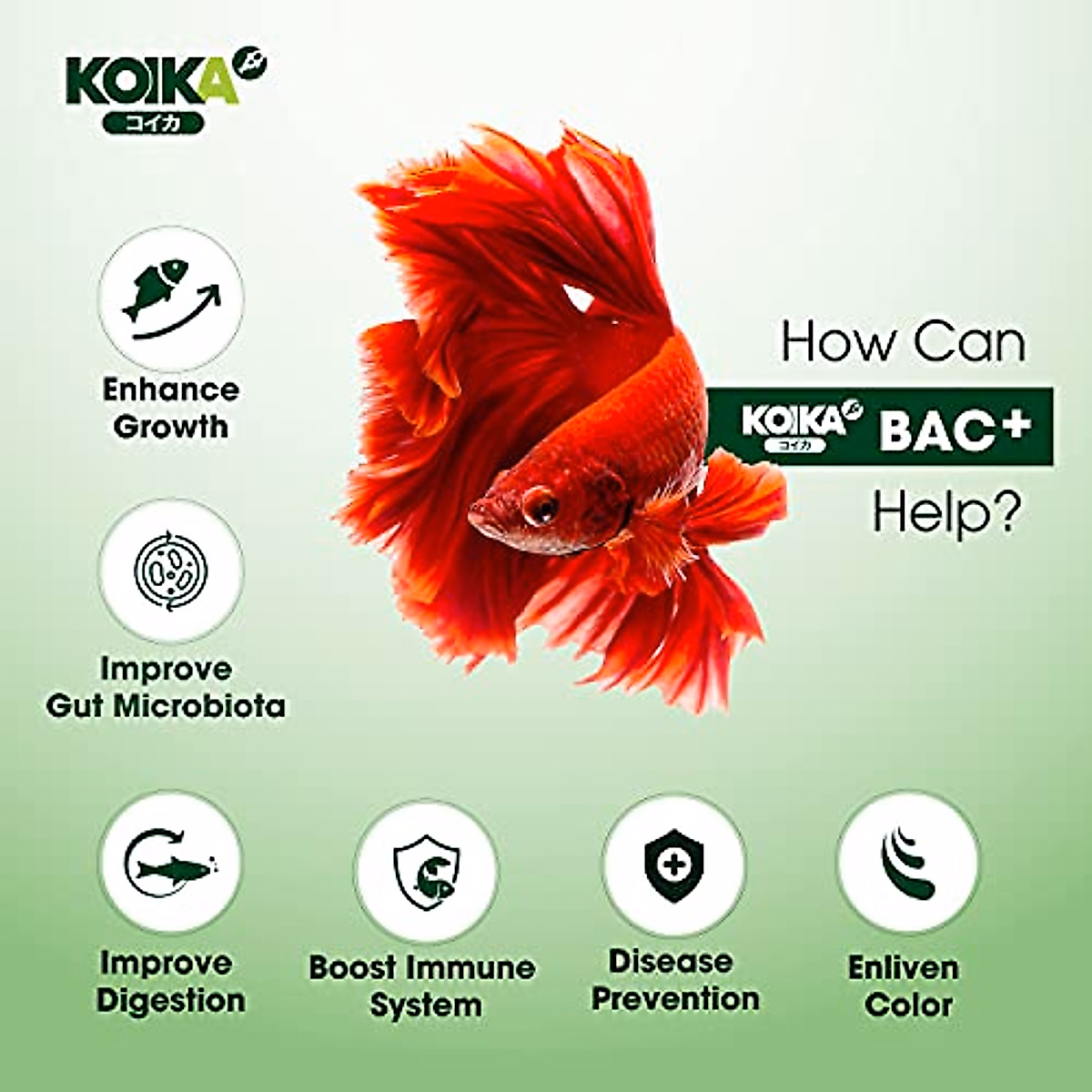 KOIKA BAC+ Aquarium Probiotics, Immunity Boosting, Disease Resistance & Improve The Digestive System (BAC+,105ml)