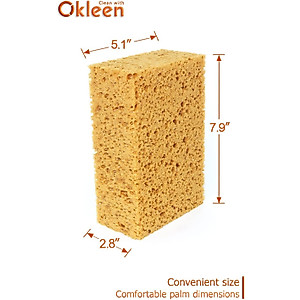 Okleen Car Wash Sponge. Made in Europe. 7.9x5.1x2.8 inches. Large Sponge for Auto, Truck, Motorcycle, Bike Washing. Boat Bail Sponge