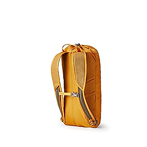 Gregory Mountain Products Nano 14 Daypack,Burnt Amber,One Size