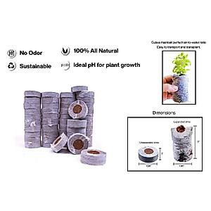 Viagrow Seedling Station Deluxe Kit with LED Grow Light, Propagation Dome, 4X Durable Seedling Tray, 50 Coir Seedling Starters & Heat mat