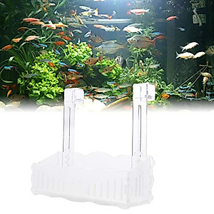 POPETPOP Fish Tank Aquarium Planter Fish Tank Plant Holder Aquarium Planting Cup Transparent Aquatic Plant Cup Aquarium Shelf for Aquarium Home Dorm Store Supplies