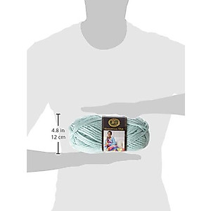 Lion Brand Yarn 135-117 Hometown Yarn, Louisville Julep (1 Skein) (Pack of 2)