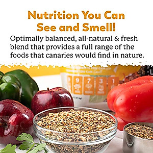 Dr. Harvey's Incredible Canary Food, Wholesome Seeds, Nuts, Fruits, and Vegetables Bird Feed for Singing Canaries, Trial Size (4 Oz)