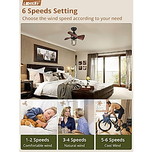 LEDIARY 23" Farmhouse Ceiling Fans with Lights - 6 Speeds Caged Ceiling Fan with Light, Small Ceiling Fan with Remote Control, Time Setting, 3 Reversible Blades for Indoor/Outdoor (Bulb Not Included)