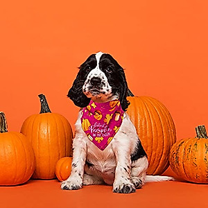 8 Pieces Thanksgiving Dog Bandanas Fall Pumpkin Pet Scarf Triangle Scarf Pet Adjustable Washable Dog Bib for Thanksgiving Pet Costume Supply (Vivid Pattern)