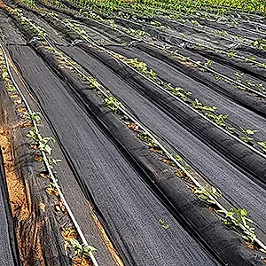 Inslat 5oz Weed Barrier Landscape Fabric Heavy Duty, 1.4 X 100 Ft Pro Ground Cover Garden Lawn Fabric Weed Cloth Control Block Mat for Flower Bed Vegetable Black