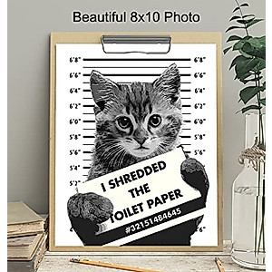 Funny Cat Bathroom Wall Art Decor - 8x10 Humorous Mugshot Home Decoration Poster for Restroom, Guest Bath, Powder Room - Gag Gift for Cat Lovers - Cute Picture Photo Print