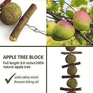 2Pcs/Set Bunny Chew Balls Toys,Rabbits Teeth Care Chewing Playing Toys,Molar Natural Apple Sticks for Rabbits Chinchillas Guinea Pigs Hamsters Improve Dental Health