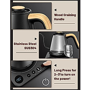 MeeLeya Electric Gooseneck Kettle with Variable Temperature Control, Pour Over Kettle for Coffee and Tea, Electric Kettle 1200 Watt, 0.8L (Black)