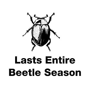 Japanese Beetle Bag Trap by Catchmaster - 3 Pack, Ready to Use Outdoors. Insect Bug Pest Plant Protection Dual Pheromone Food Lure System Season Disposable Easy Maximum Coverage Secure