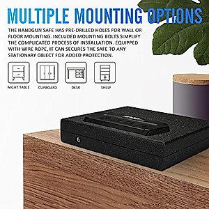 RPNB Portable Security Safe, Quick-Access Dual Firearm Safety Device with Quick Reliable Keypad Access