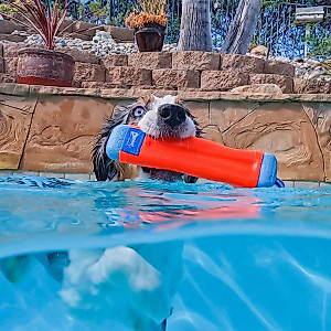 ChuckIt! Amphibious Bumper Fetch and Float Dog Toy, Medium (Colors Vary)