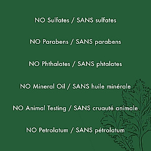 SheaMoisture Power Greens Curly Hair Shampoo and Conditioner Dry Hair Moringa Avocado to moisturize, 13 Fl Oz (Pack of 2)