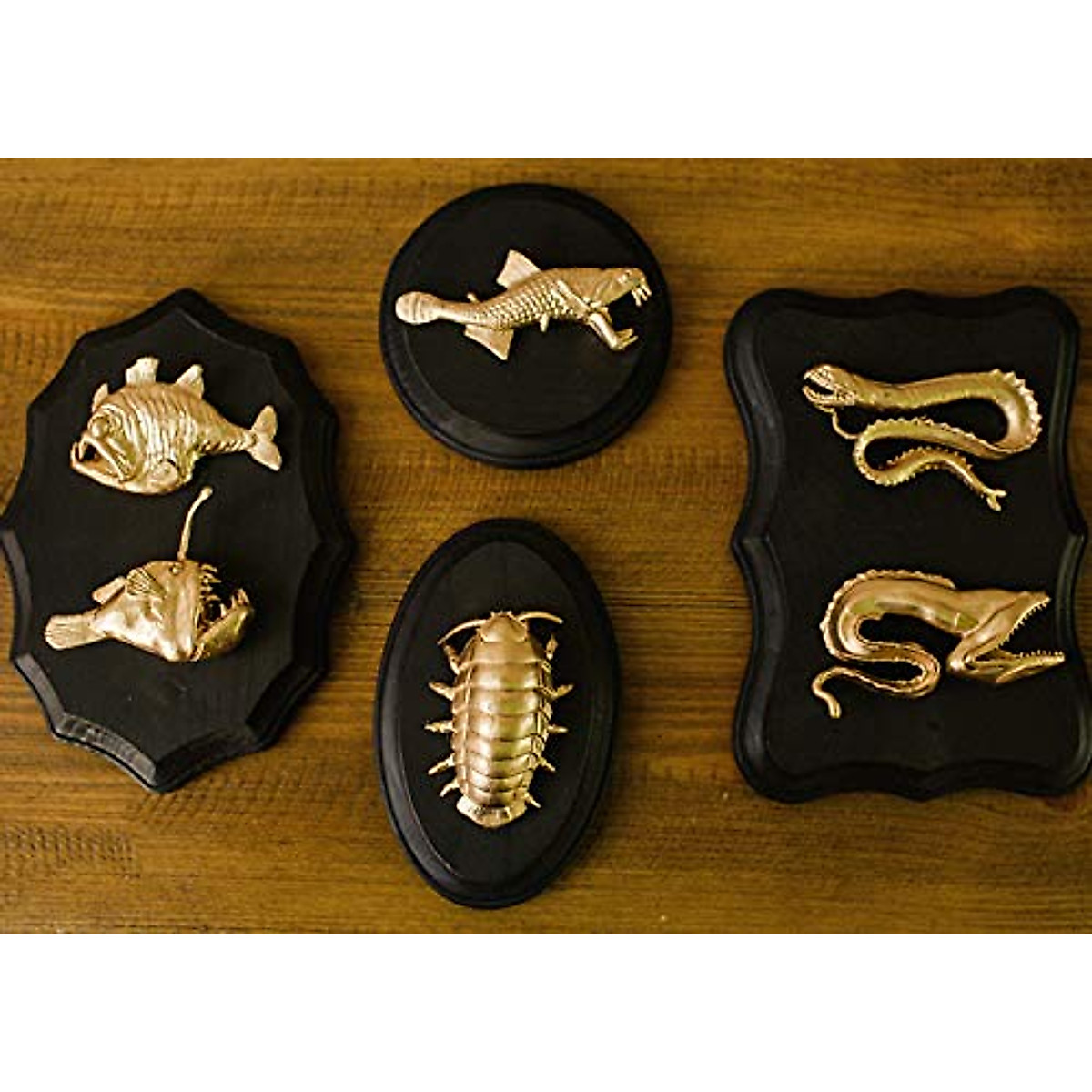 Design Master 725 Garden, 12 Ounce (Pack of 1), Flat Black