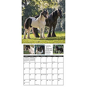 Gypsy Vanner Horse 2021 Wall Calendar