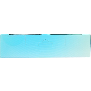 DR TUNG'S Ionic Hygienic Replacement Brush Heads