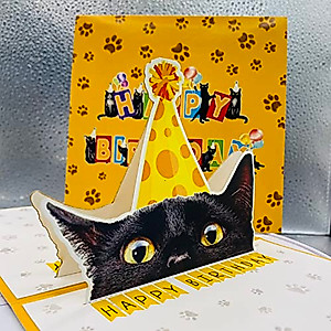 Crazytops Black Cat Birthday Card, 3D Birthday Card, Happy Birthday Pop Up Card with Envelope Postcards for Cat Lovers, Birthday Pop Up Card