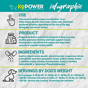 K9 Power Go Dog Hydration & Performance Drink Mix 1 lb - Active Dog Supplement for Muscle Function, Endurance, Recovery, with Electrolytes Support