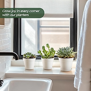 T4U 4 Inch Plant Pots 8-Pack - Small Plastic Planter with Drainage Hole and Saucer, Decorative Nursery Pot Bulk for African Violet, Snake Plant, Succulent and All House Plants Indoor (White)