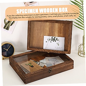 EXCEART Jewelry Organizer Tray 2pcs Eva and Storage Window Insecta Collection Locked Display Pad for with Kit Clear Specimen Shadow Cm Supplies Pinning Entomology Foam Board Jewelry Organizer Case