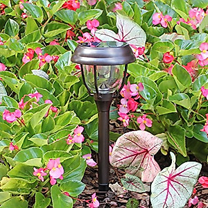 SOLARBASICS SB-145 DC Pathway Solar Landscape Accent Light, Dual Warm/Bright White Bulb, LED, Oil Rubbed Bronze, 4-Pack