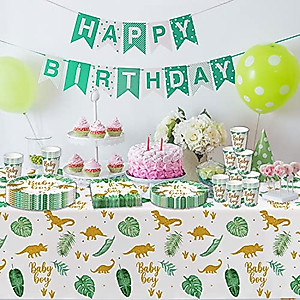 HIPVVILD Dinosaur Baby Shower Decorations for Boy - Jungle Safari Theme Baby Shower Party Supplies Include Plates, Cups, Napkins, Tablecloth, Straws, Cutlery, Dinosaur Baby Boy Decorations | Serve 24