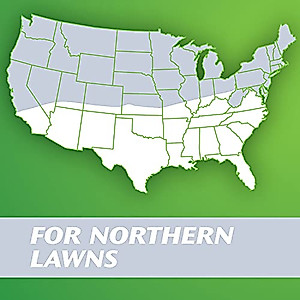 Scotts Turf Builder Grass Seed Quick Fix Mix Fast Growing Turf for a Temporary Lawn, Germinates in 4-7 Days, 3 lbs.