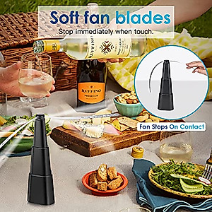 Adawook Fly Fans for Tables, Chemical-Free Bug Fans with Soft Blades, Keep Flies Bugs Away, Portable Table Fans for Flies, 2 Pack, Can't Retract