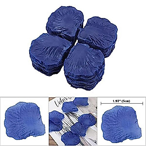 Aldeepo 1000 Pcs Artificial Rose Petals for Romantic Night, Fake Rose Flower Petals for Wedding, Party, Valentines Day Decorations for The Home (Blue)