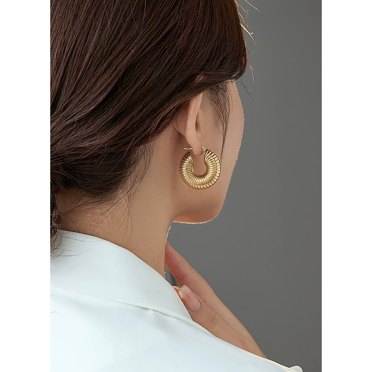 MYNENEY Croissant Earrings Twisted Round Hoop Earrings Chunky Hoop Earrings Silver/Gold Post Earrings Huggies for Women Great Birthday/Christmas Gifts