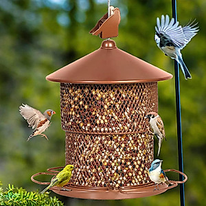 Mosloly Wild Bird Feeders Metal Outside - 7lbs Large Retractable Mesh Hanging Feeders Squirrel Proof, Blue Bird/Cardinal Wildlife Feeder, Attracts Birds(Brown)
