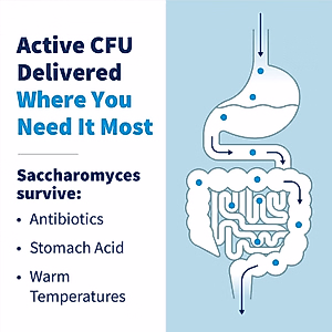 Klaire Labs Saccharomyces Boulardii - Probiotic Supplement to Help Support Healthy Yeast Balance, Immune & Digestive Health - Acid Resistant, Shelf-Stable, Hypoallergenic & Dairy-Free (60 Capsules)