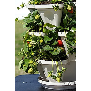 3 Tier Stackable Herb Garden Planter Set with Bottom Saucer - Stone Color - Vertical Container Pots for Herbs, Strawberries, Flowers