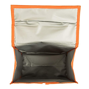 Bioworld NASA orange insulated tote Lunch Bag